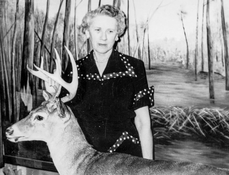 The Eudora Welty Foundation » January 18 Program on Conservationist ...